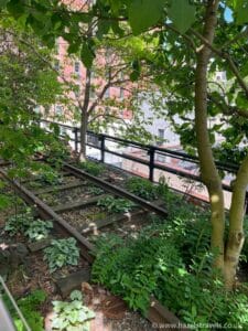 High Line Park NYC: Walking Guide | Hazel’s Travels