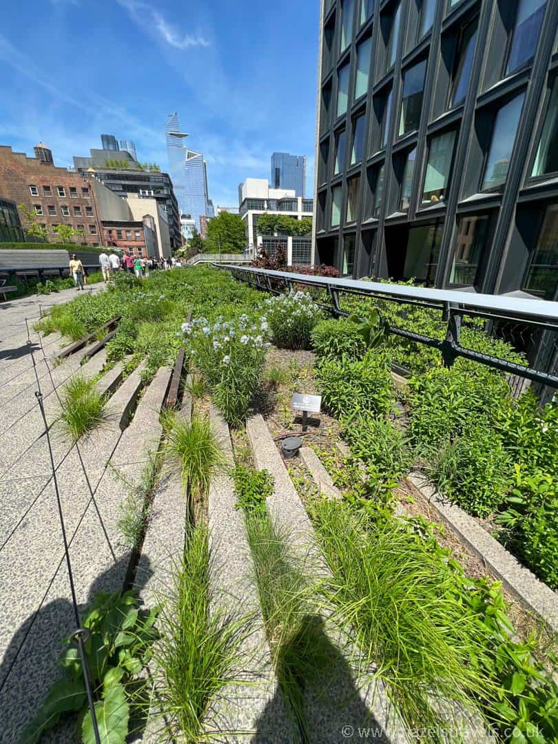 High Line Park NYC: Walking Guide | Hazel’s Travels