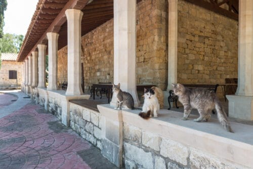 15 Monasteries in Cyprus to Visit | Hazel’s Travels