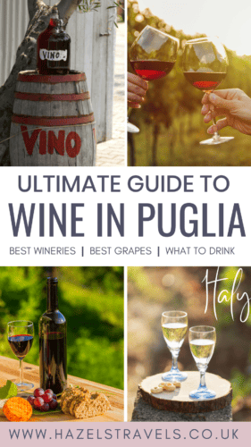 Wine in Puglia: Guide & Best Wineries | Hazel’s Travels