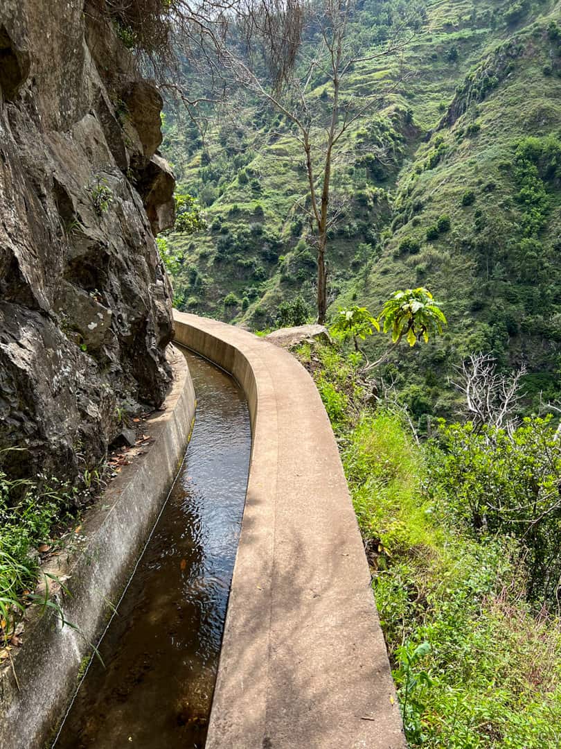 Levada do Moinho to Levada Nova Hike, Madeira | Hazel’s Travels