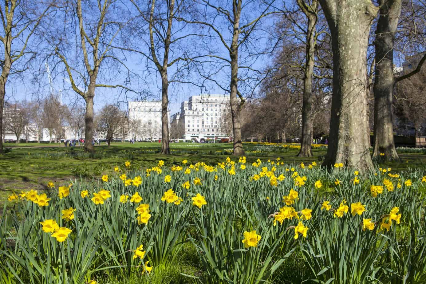 Explore the 8 Royal Parks of London: Best Walks | Hazel’s Travels