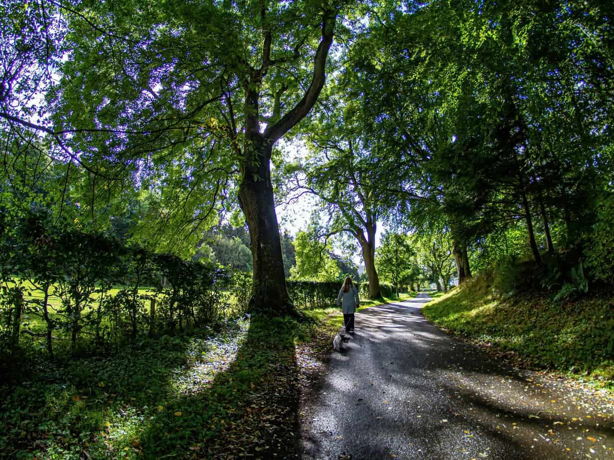 17 Things to Do in Peebles, Scotland | Hazel’s Travels