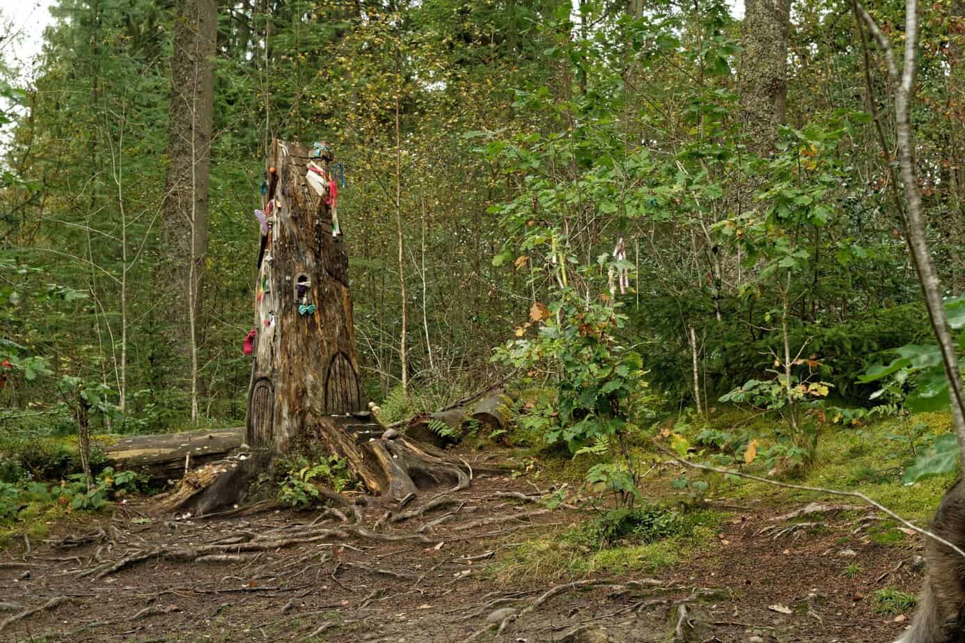 The Legend of Doon Hill & Fairy Knowe, Scotland | Hazel’s Travels